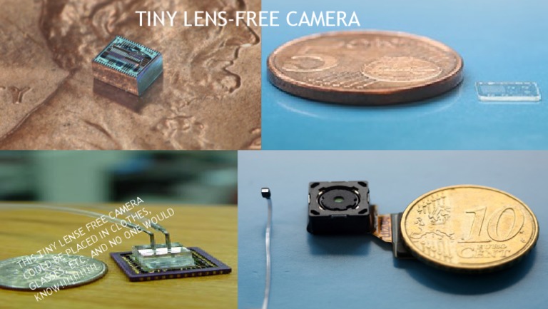 Computational Artifact | PDF