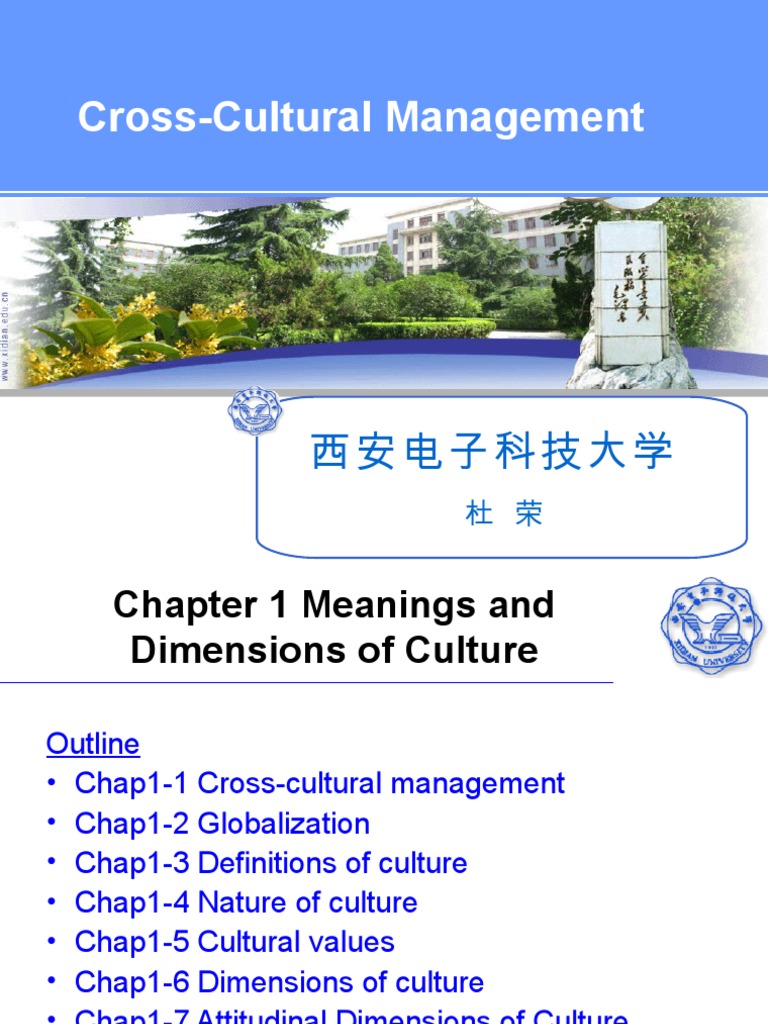 Cross-Cultural Management Insights | PDF | Leadership | Collectivism