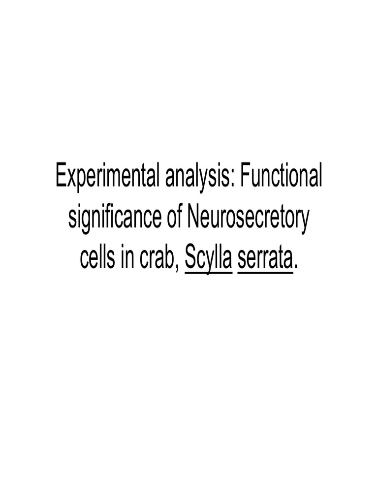 Experimental Analysis Functional | PDF