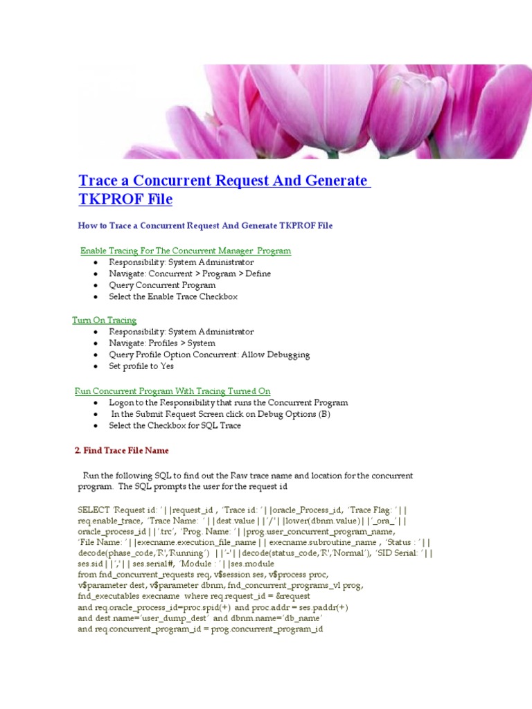 How To Trace A Concurrent Request and Generate TKPROF File | PDF ...