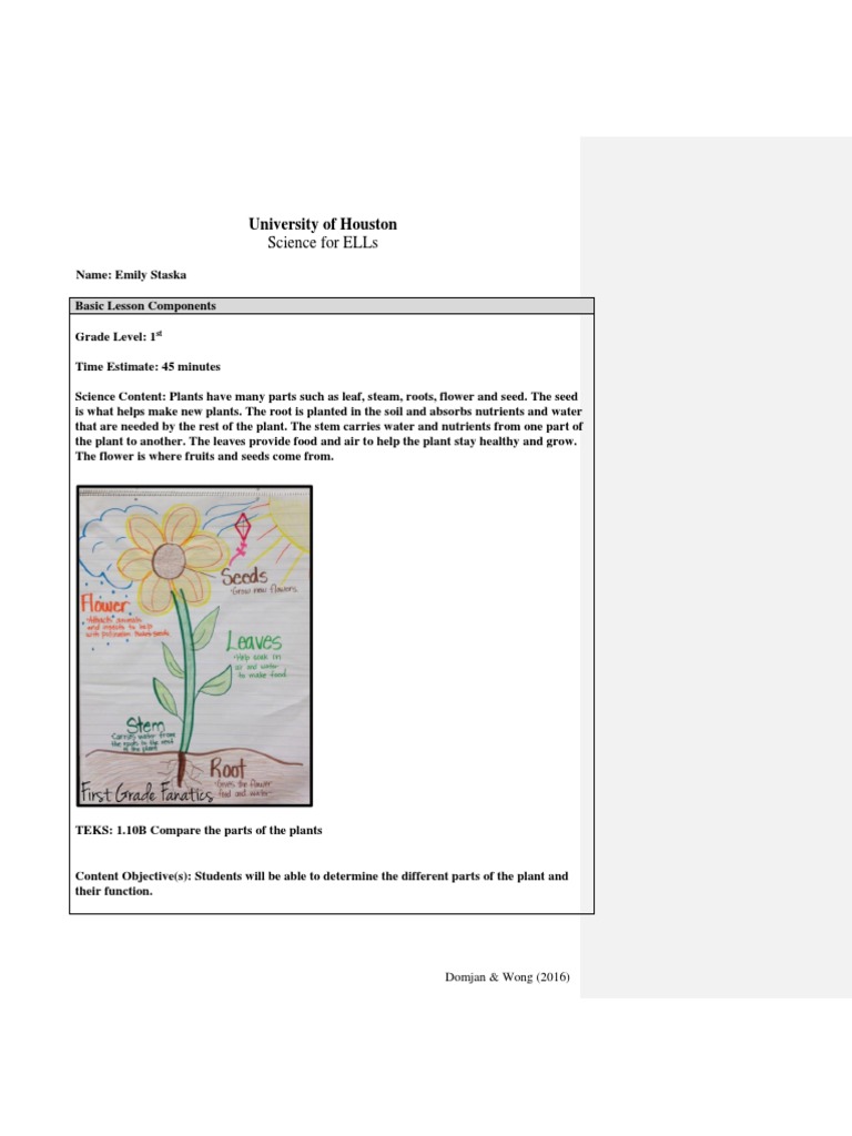 University of Houston: Science For Ells | PDF | Plant Stem | Plants