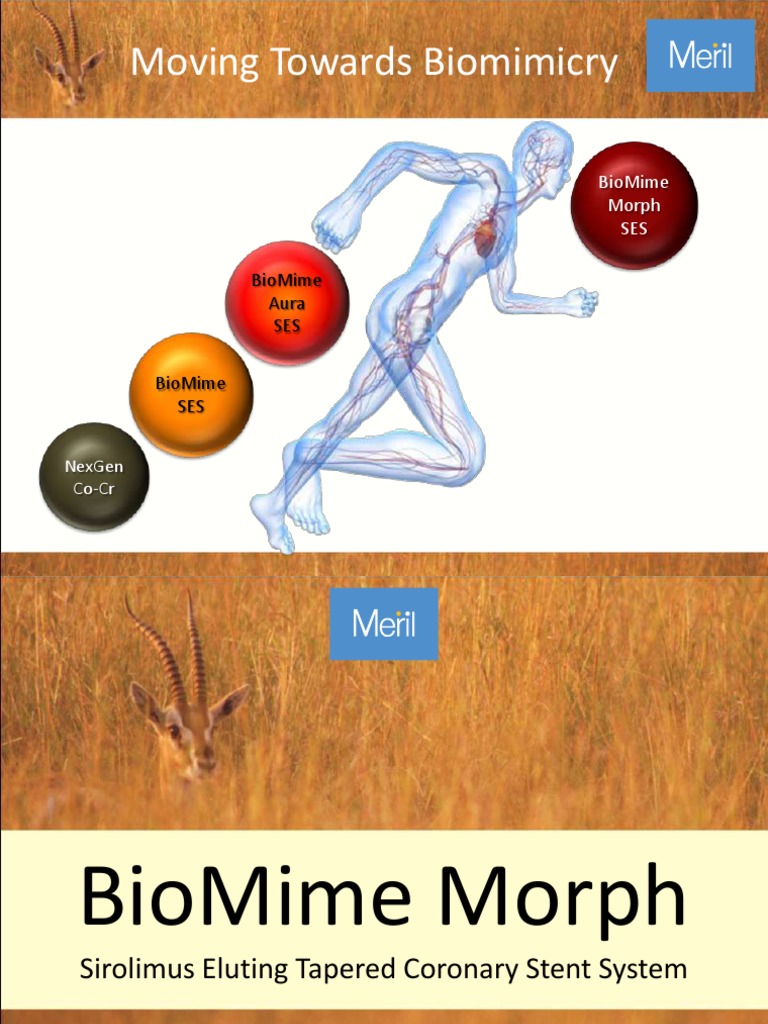 BioMime Morph Stent System Overview | PDF | Cardiovascular System ...