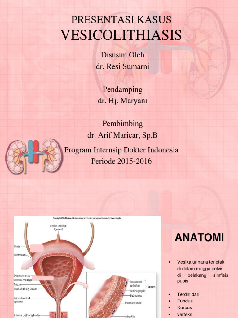 Penanganan Vesikolitiasis pada Pasien | PDF