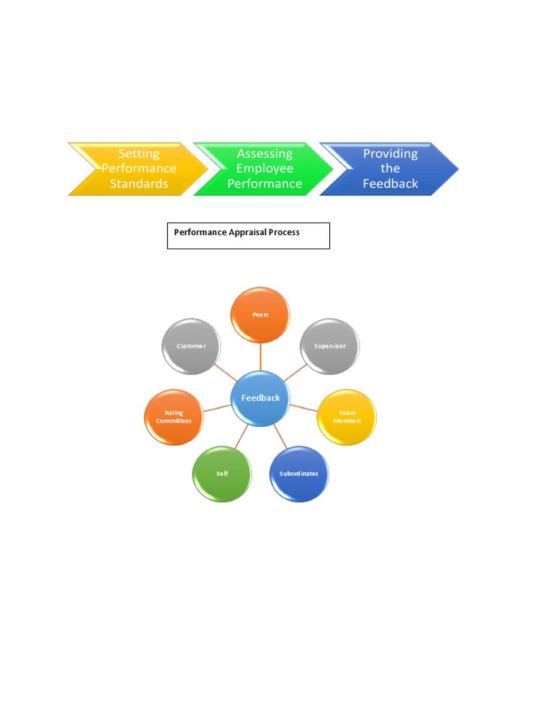Setting Performance Standards Assessing Employee Performance Providing The Feedback | PDF ...