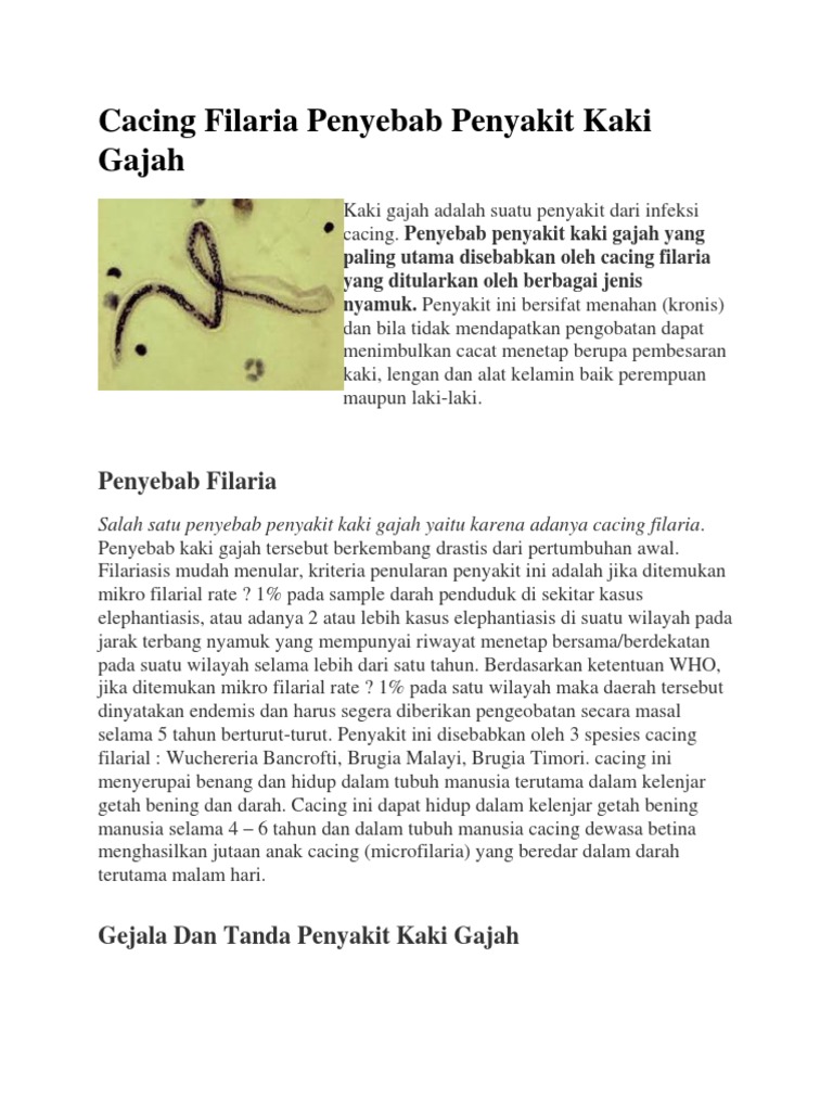 Cacing Filaria Penyebab Penyakit Kaki Gajah | PDF | Ilmu Sosial ...