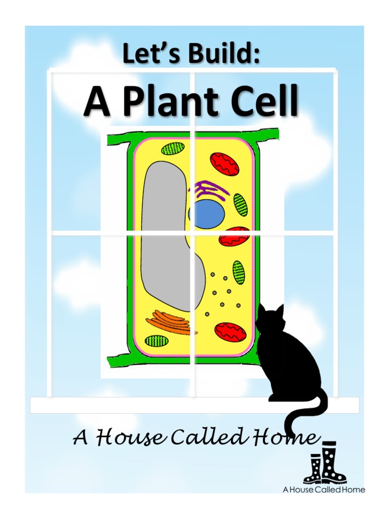 Lets Build A Plant Cell | PDF | Cytoplasm | Chloroplast