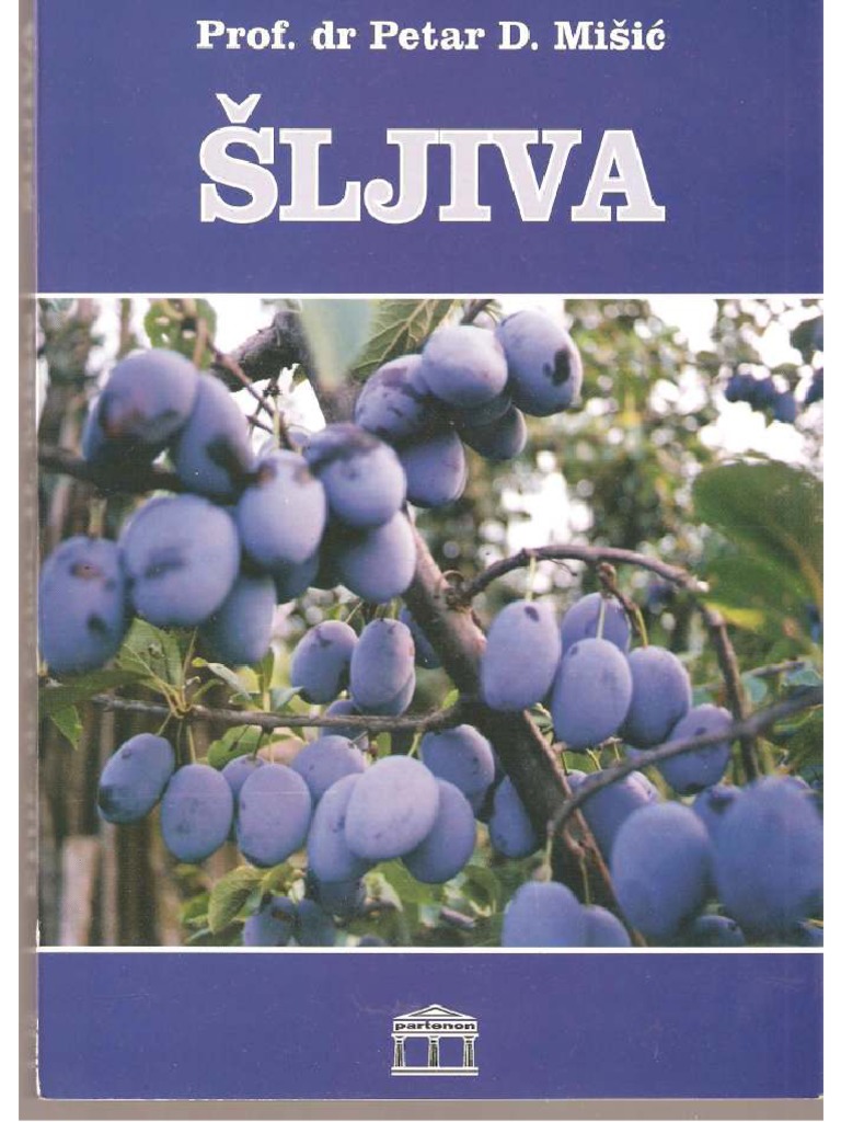 Petar Misic-Sljiva PDF | PDF