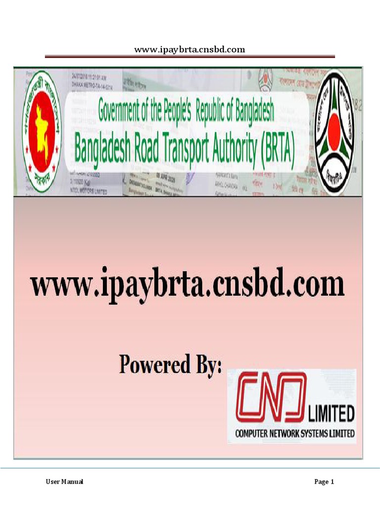 User Manual of Ipay System | PDF