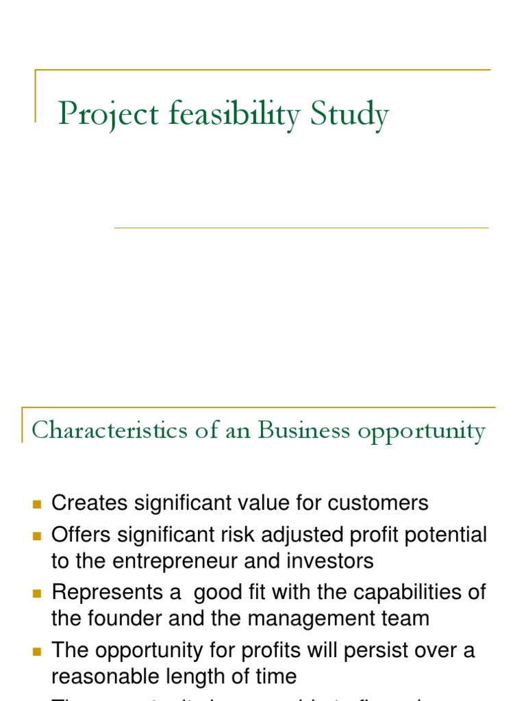 Project Feasibility Study | PDF | Feasibility Study | Economics