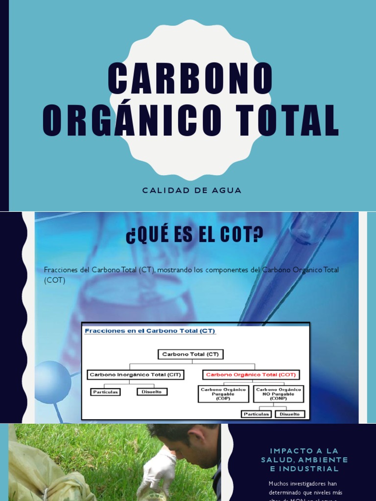 Carbono Orgánico Total | PDF | Carbono organico total | Química
