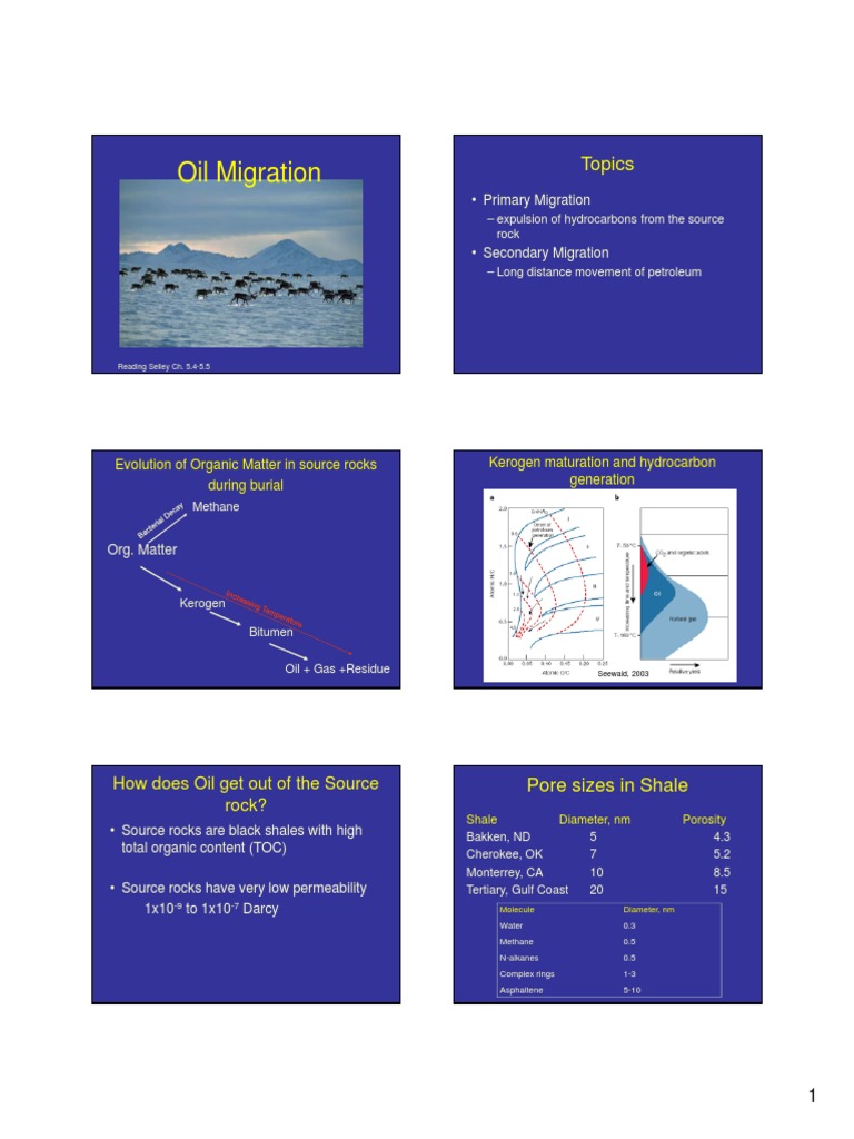 11 Primary Migration | PDF | Petroleum Reservoir | Fossil Fuels