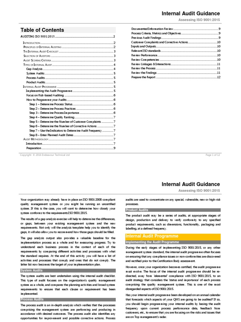 Internal Audit Guidance Example | PDF | Internal Audit | Audit