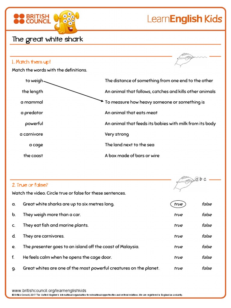Video Zone The Great White Shark Worksheet | PDF | Great White Shark ...