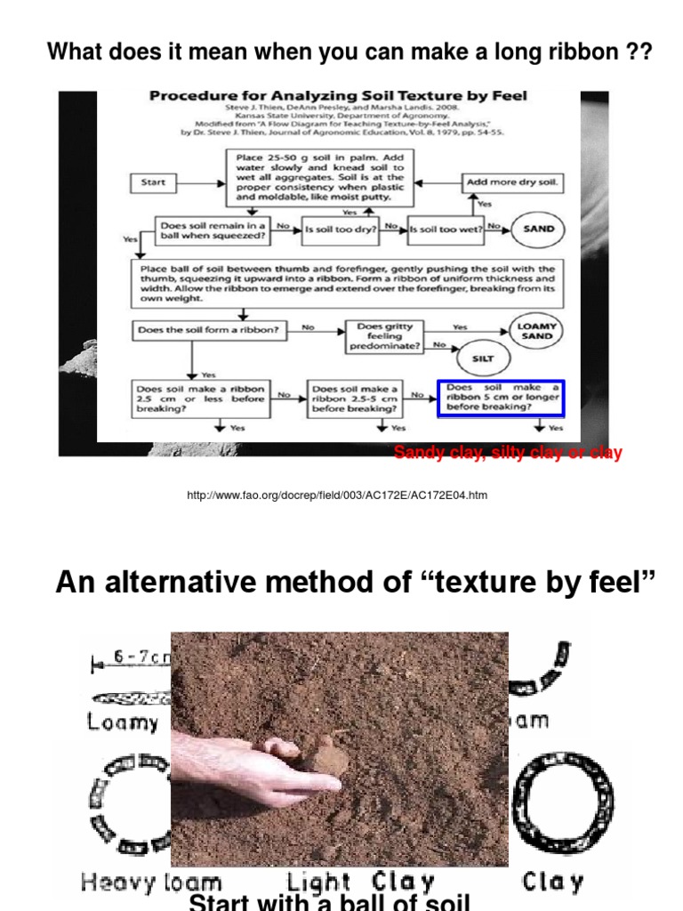 How to determine soil texture by feel | PDF | Clay Minerals | Minerals