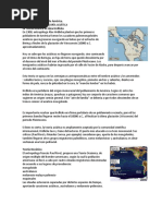 Teoría Asiática, Oceanica, Australiana | PDF | Antropología