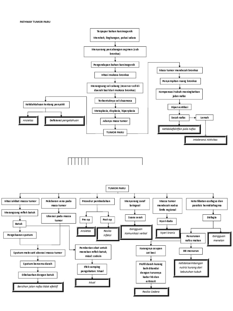 Pathway Tumor Paru | PDF