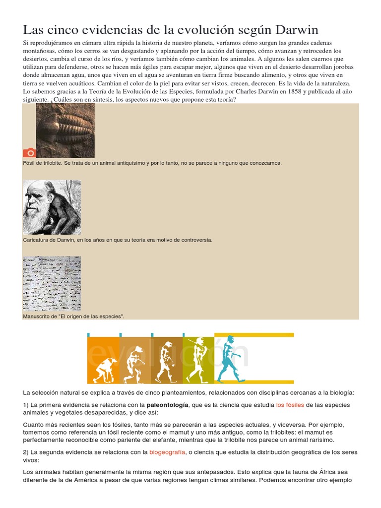 Cinco evidencias de la evolución de Darwin | PDF | Charles Darwin ...