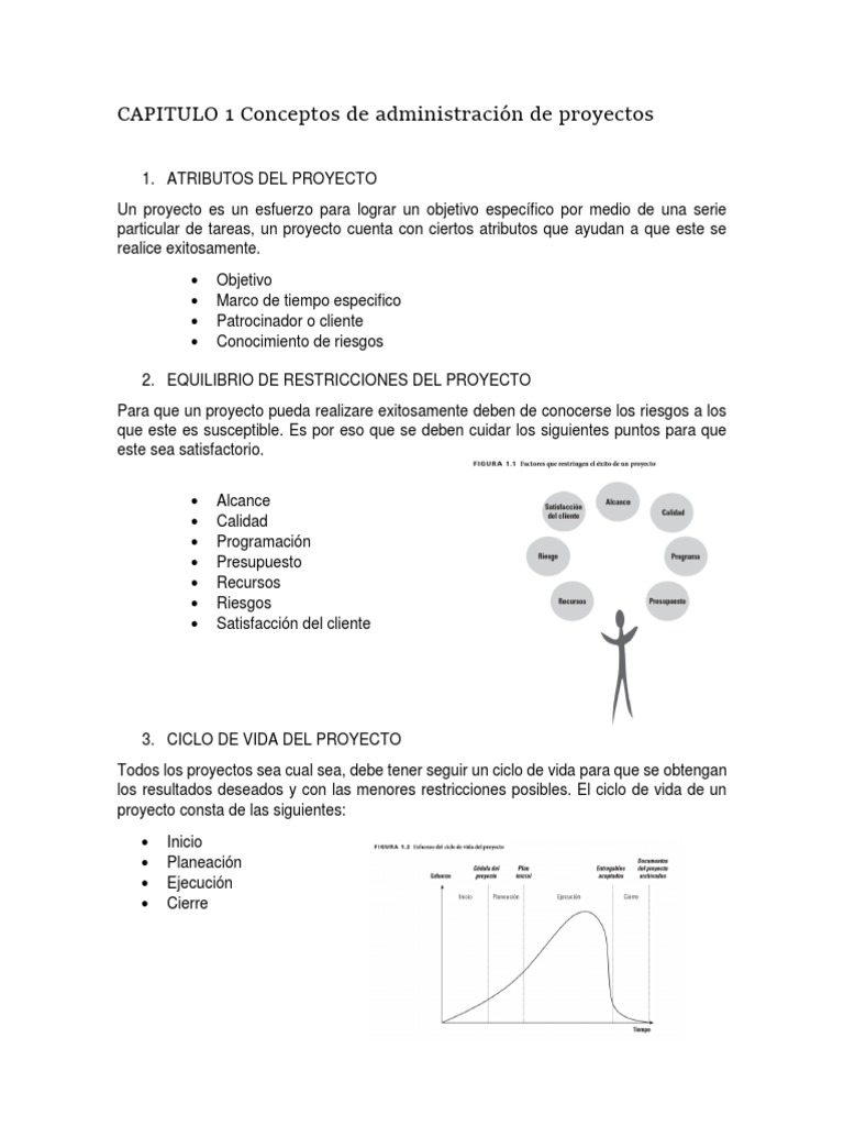 CAPITULO 1 Conceptos de Administración de Proyectos | Descargar gratis PDF | Proceso de ...