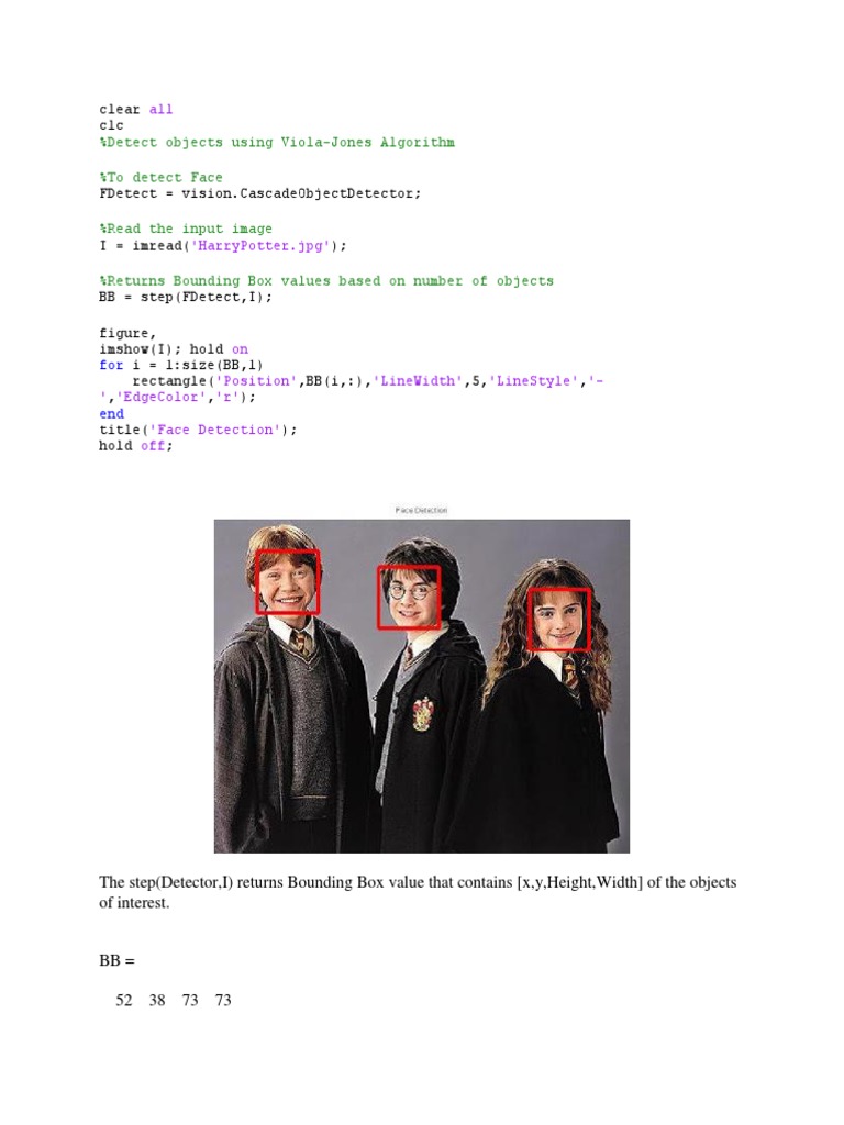 Viola-Jones object detection in MATLAB | PDF