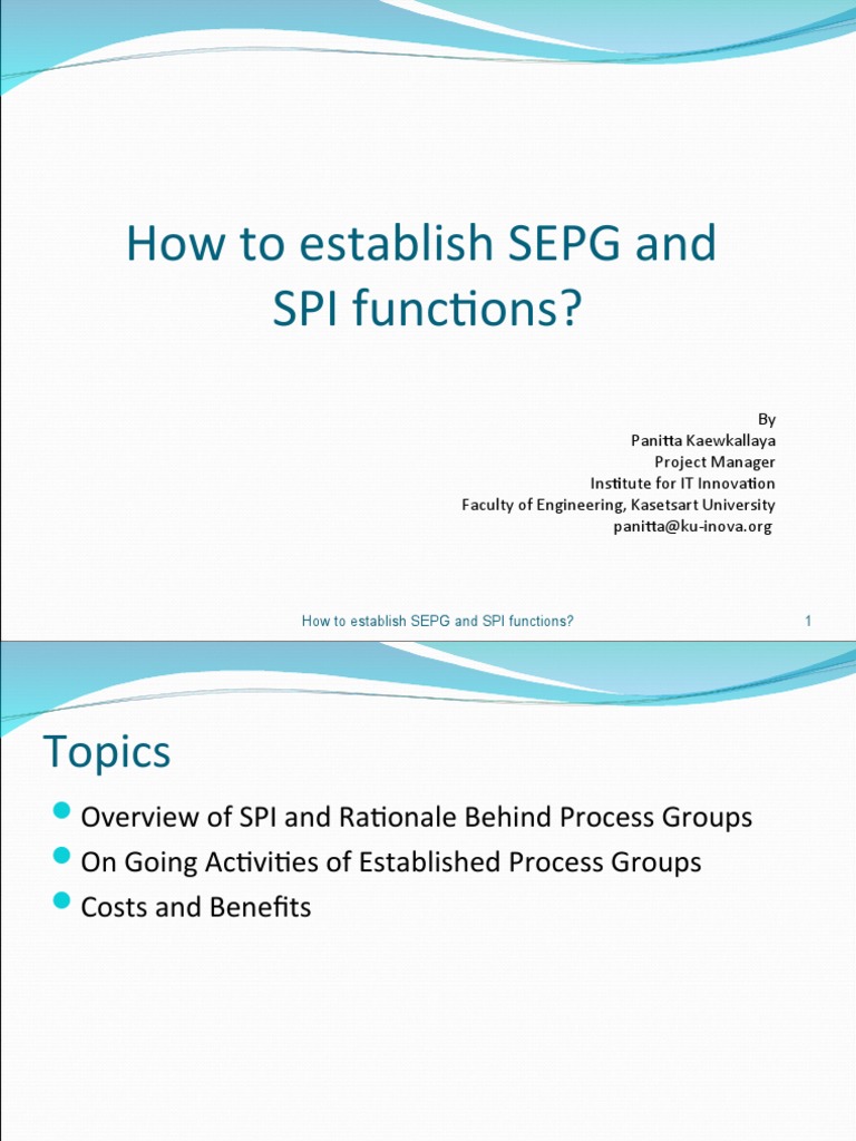 How To Establish SEPG and SPI Functions? | PDF | Business | Software ...