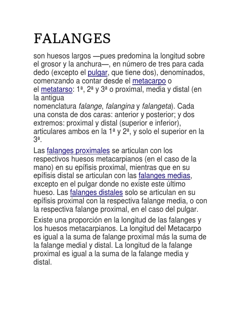 Estructura y función de las falanges | PDF | Estudios de idiomas ...