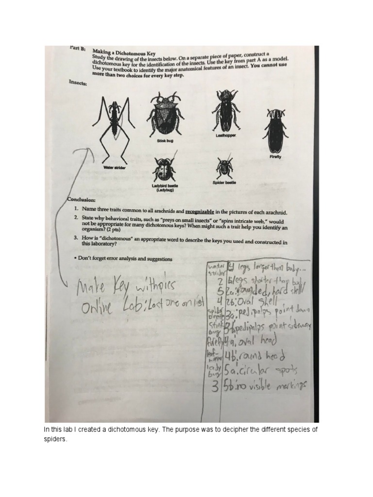 Dichotimus Key Lab | PDF