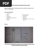 Bio 101 Sample Lab Report | PDF | Active Site | Enzyme