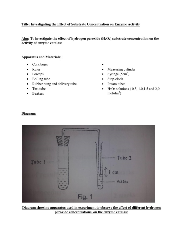 Biology Lab 6 Enzymes | PDF | Substrate (Chemistry) | Active Site