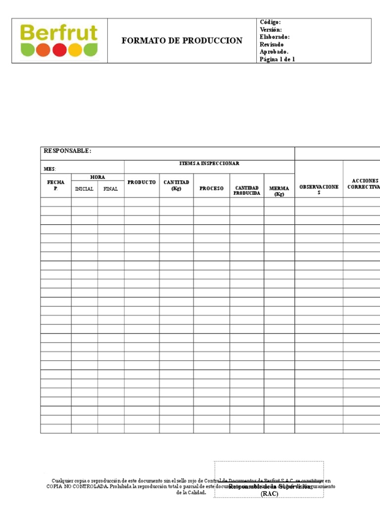 Formato de Produccion | PDF