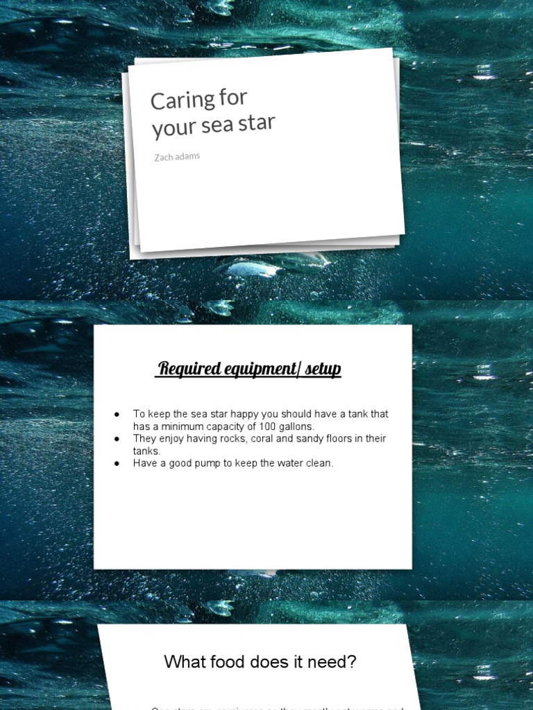 Caring For Your Sea Star | PDF
