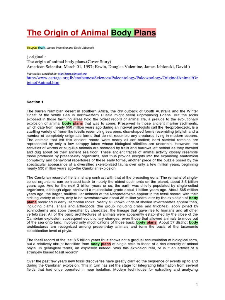 The Origin of Animal Body Plans | PDF | Evolution | Fossil