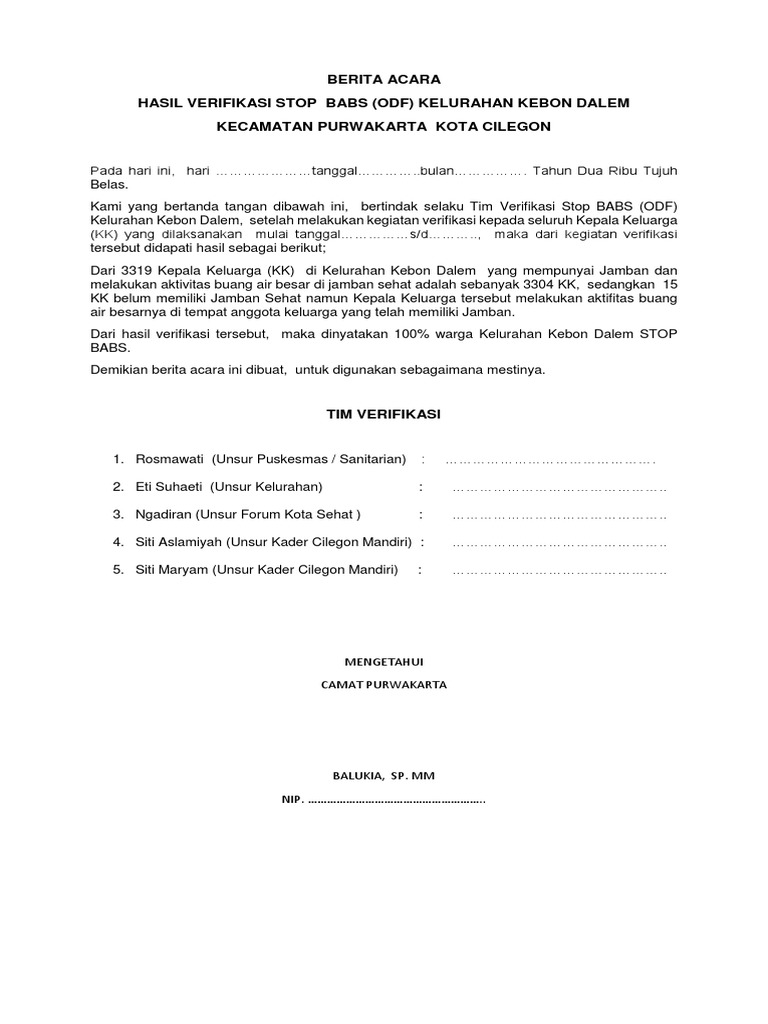 Contoh BA Tim Verifikasi | PDF
