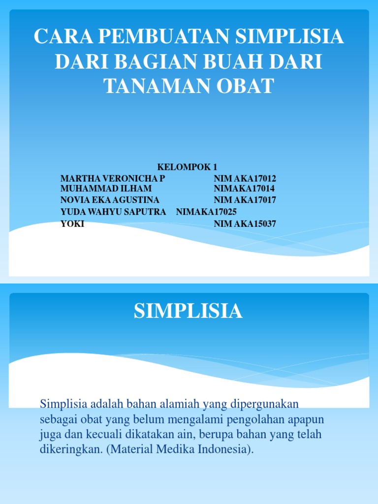 Proses Pembuatan Simplisia Buah | PDF