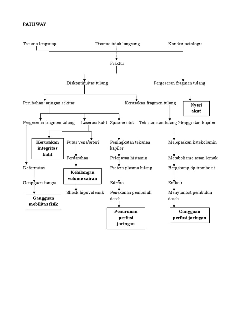 Pathway Multiple Fraktur | PDF