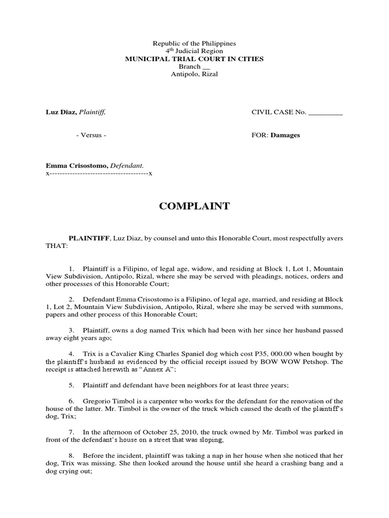 Complaint Plaintiff | Damages | Lawsuit