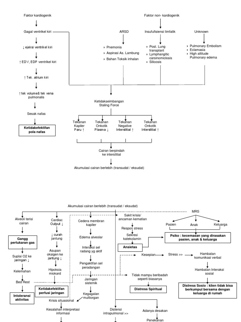 Pathway ALO Revisi Fix | PDF