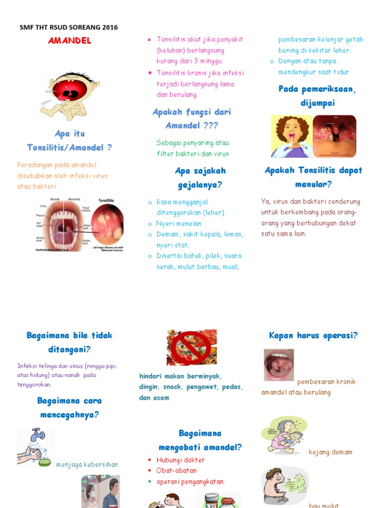 Amandel Leaflet Print | PDF