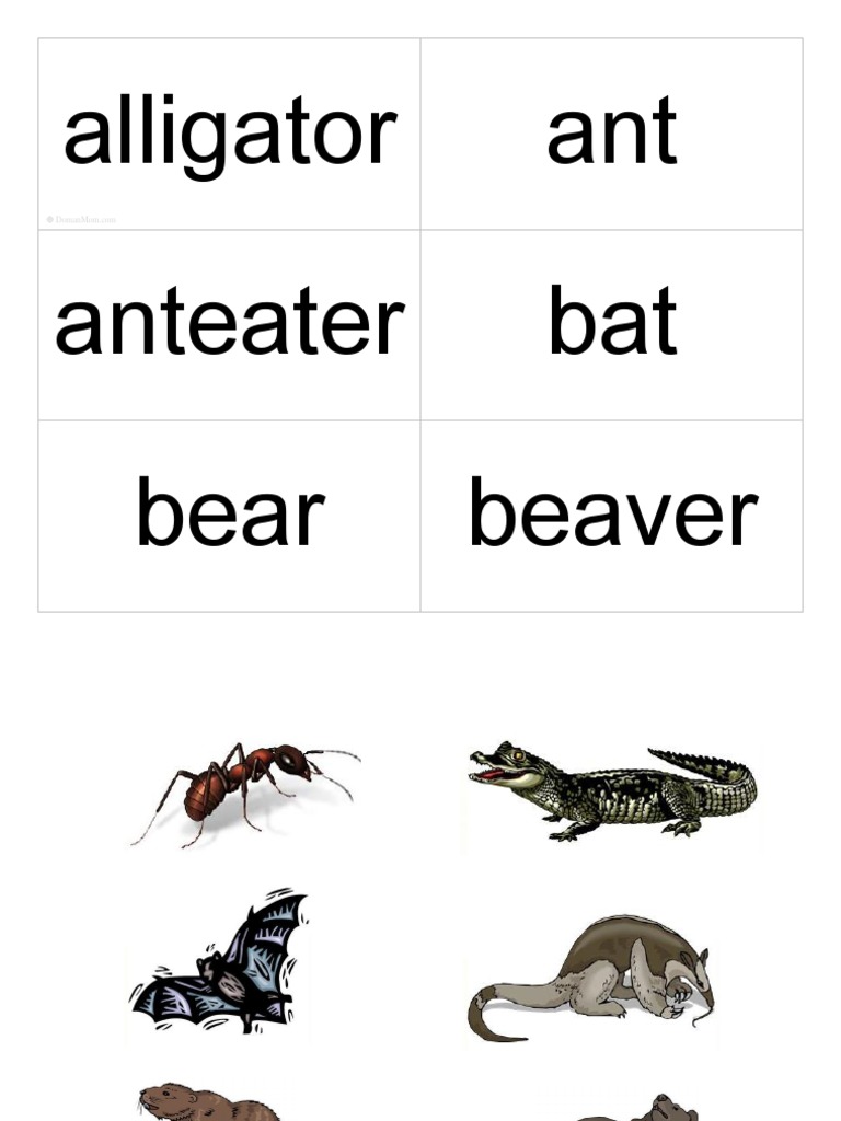 100 Animal Reading Word Flash Cards With Pictures PDF | PDF