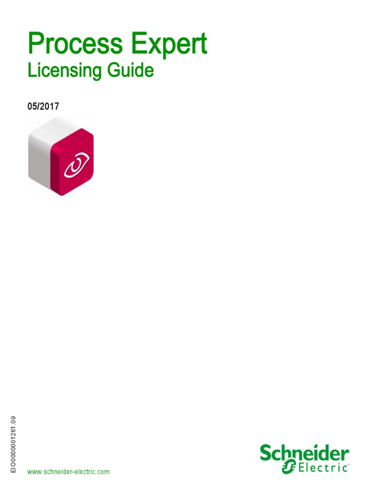 Process Expert Licensing Guide | PDF | Server (Computing) | Web Server