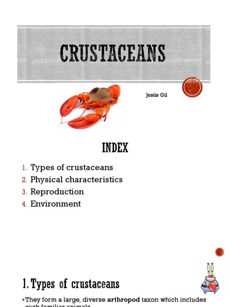 Crustaceans | PDF | Science & Mathematics