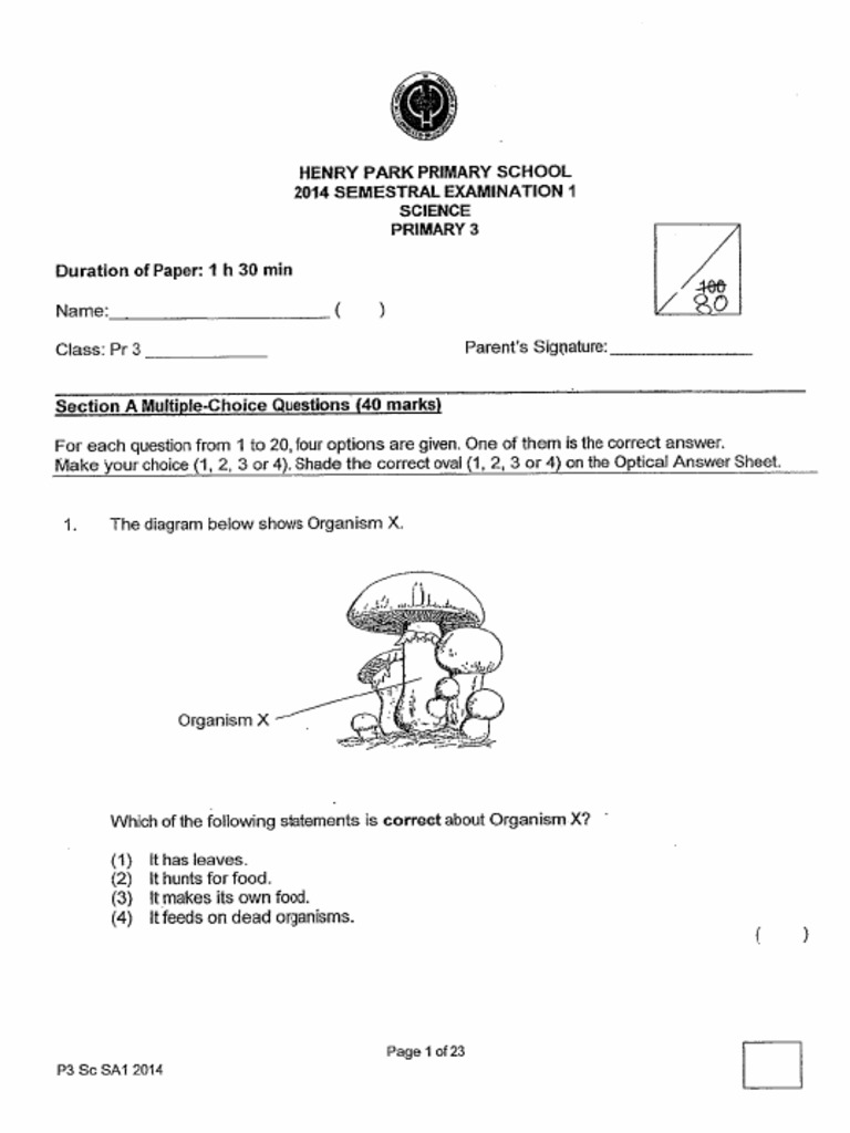 P3 Science SA1 2014 Henry Park Exam Papers | PDF