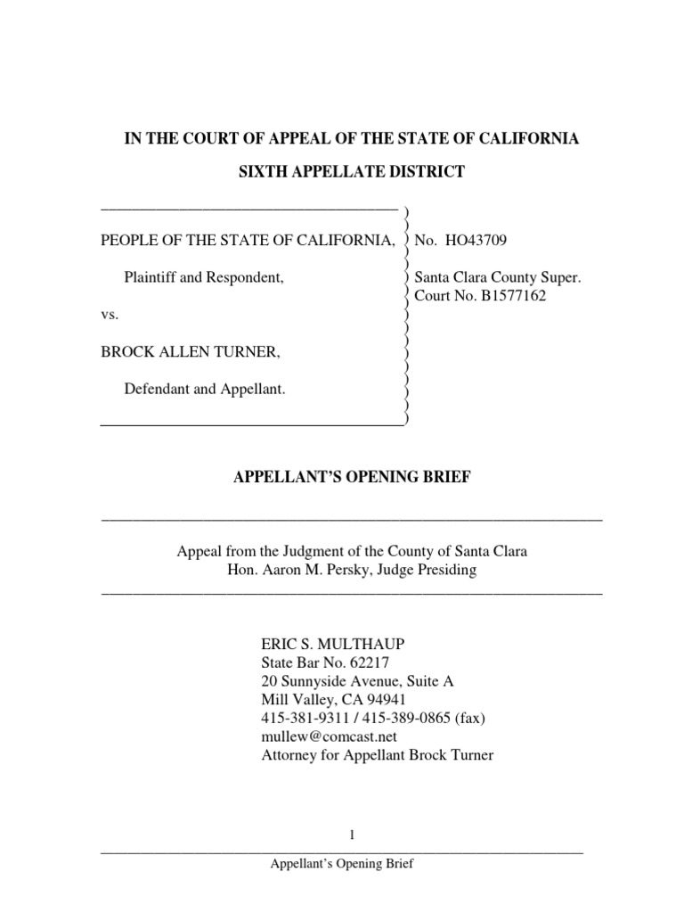 Brock Turner Appeal - Initial Brief | PDF | Prejudice (Legal Term ...