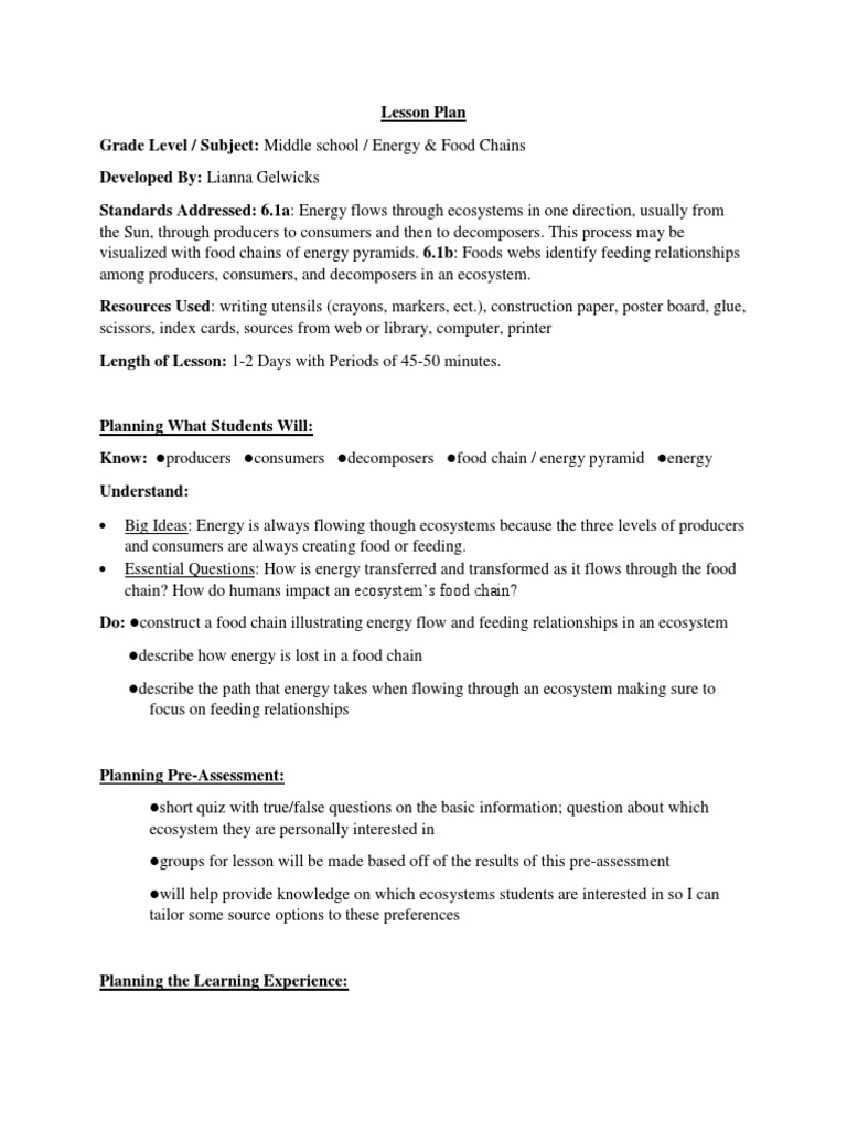 Food Chain Lesson Plan | PDF | Ecosystem | Food Web