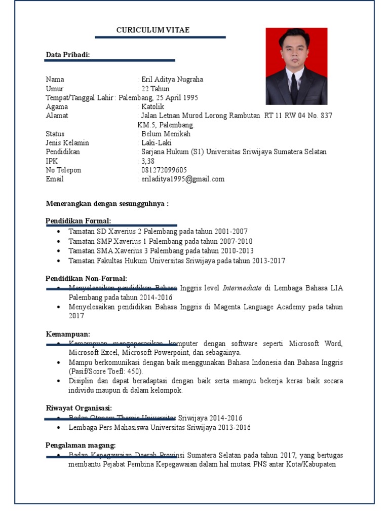 Contoh Curiculum Vitae | PDF