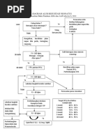 Alur Resusitasi Neonatus IDAI 2022 60x160 | PDF