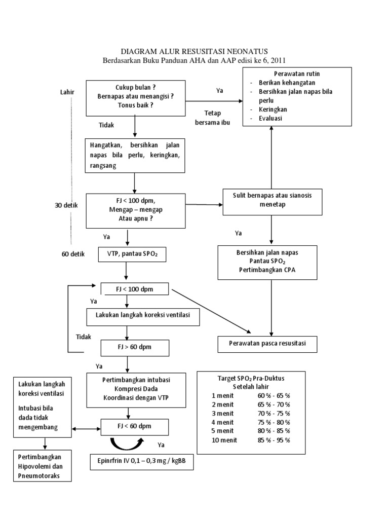 Diagram Alur Resusitasi Neonatus | PDF