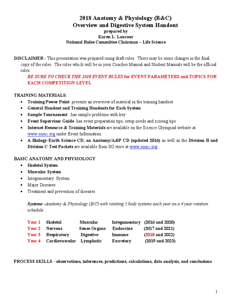 2018 Overview Digestive System Handout | PDF | Digestion | Stomach