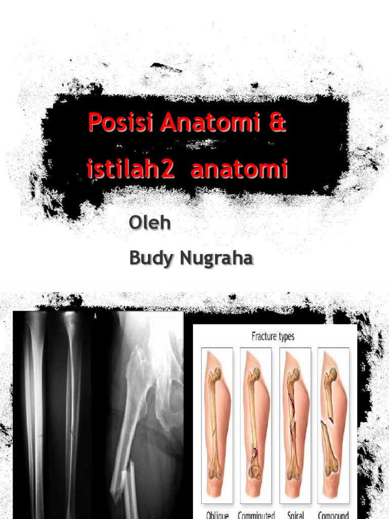 Istilah Anatomi Baru Pdf