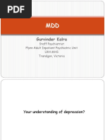 DILO Template | PDF | Software Testing | Software Bug