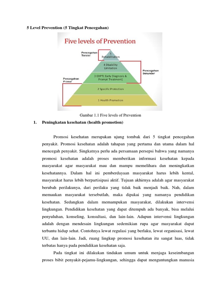 5 Level Prevention | PDF